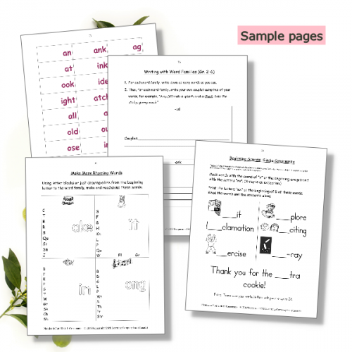 Phonics is Fun! Unit 1: Consonants | Peppermint Stick Learning Company